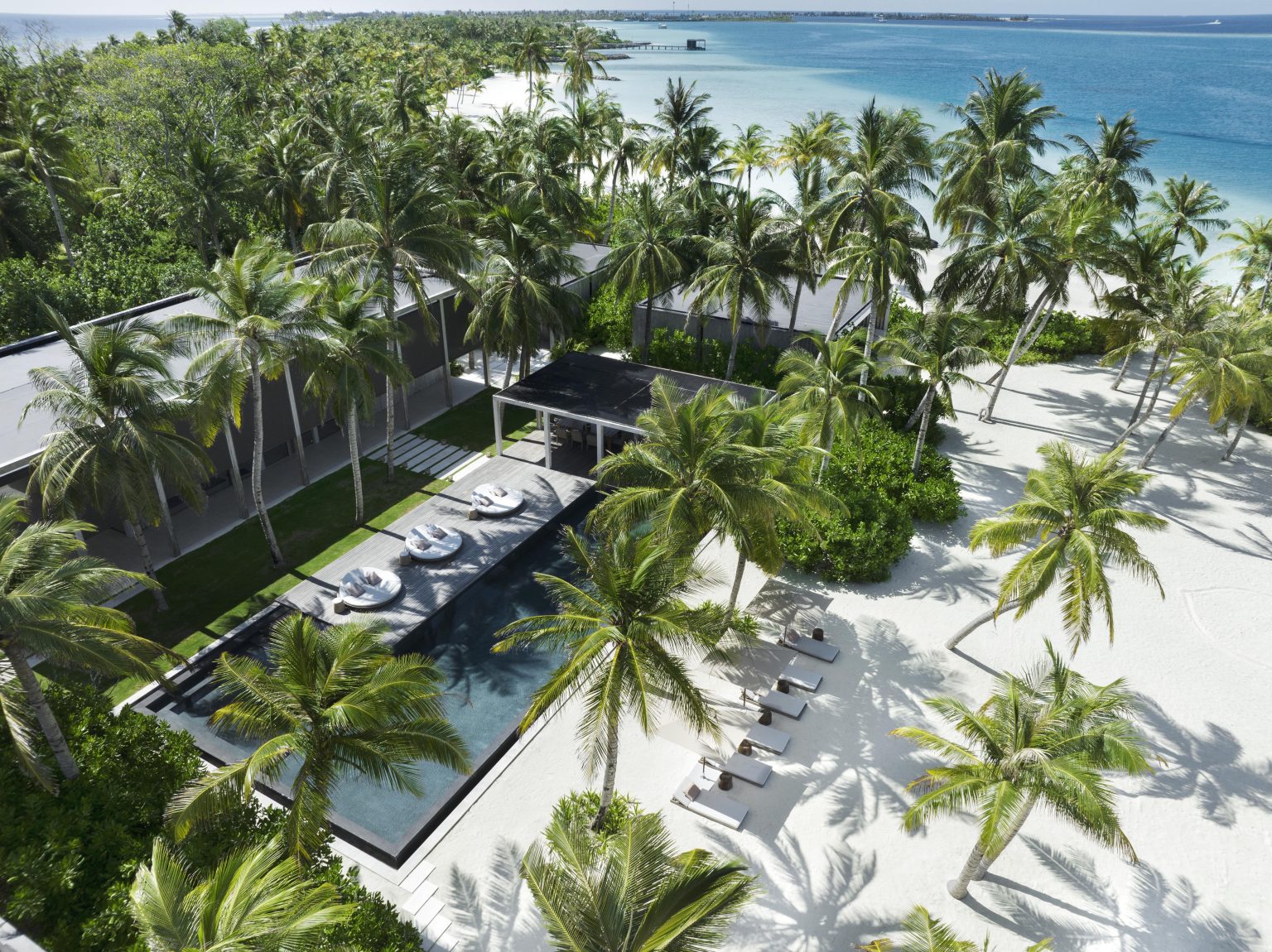 Unveiling The Ultimate Year-End Experiences At The Ritz-Carlton ...