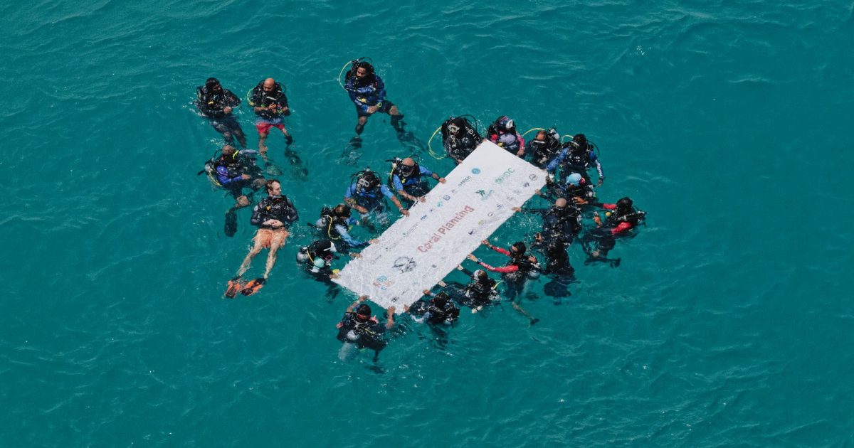 Large-scale coral restoration event held at Dhoonier Wreck as part of ...